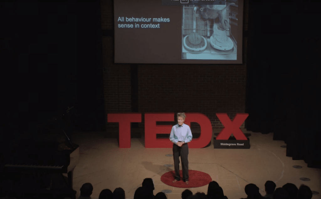 These TED Talks Will Change Your Love Life